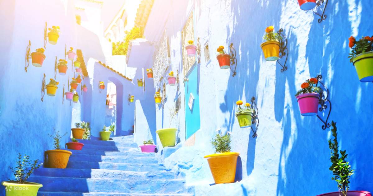 Tour 6 Ngày Đến Marrakech Qua Chefchaouen & Sa Mạc Từ Casablanca - Klook Việt Nam